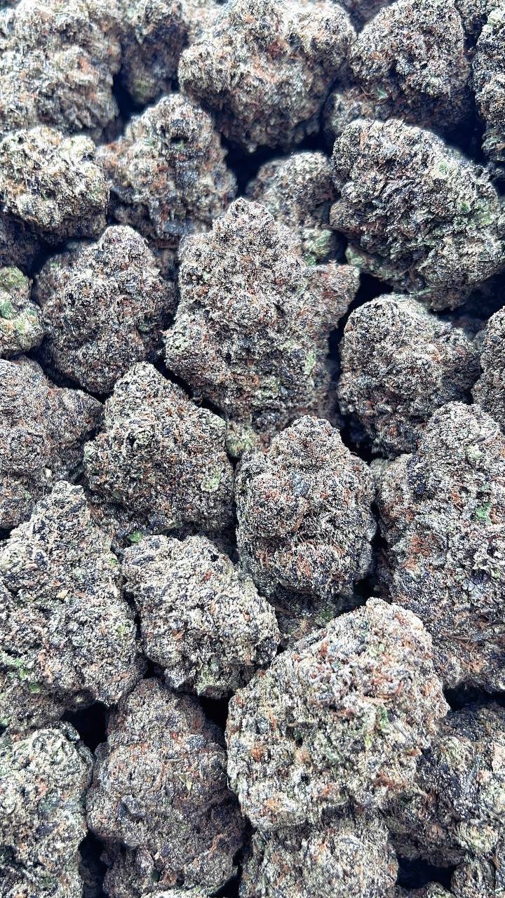 DIRTY FANTA – boxboysonly.com