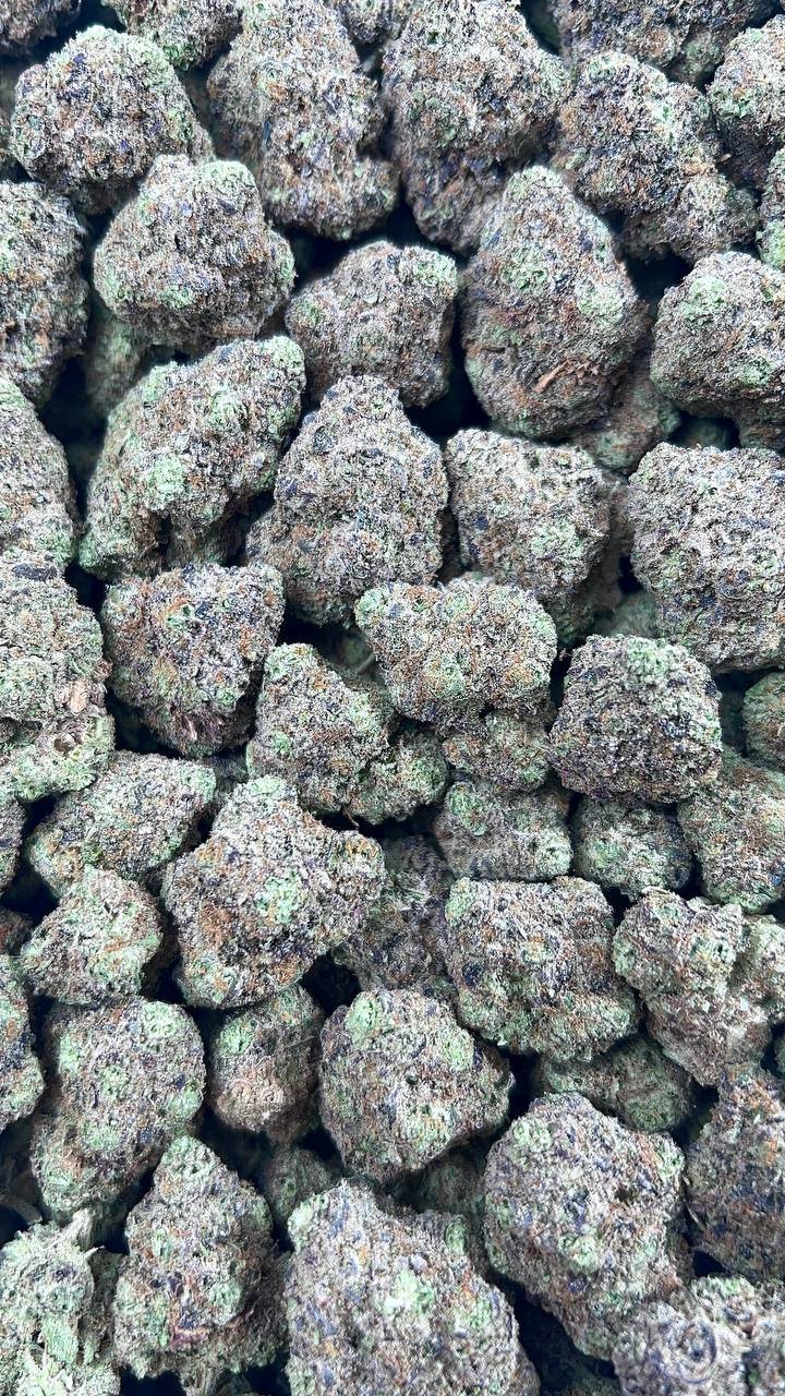 ASTRON PLUTO PUFFS – boxboysonly.com